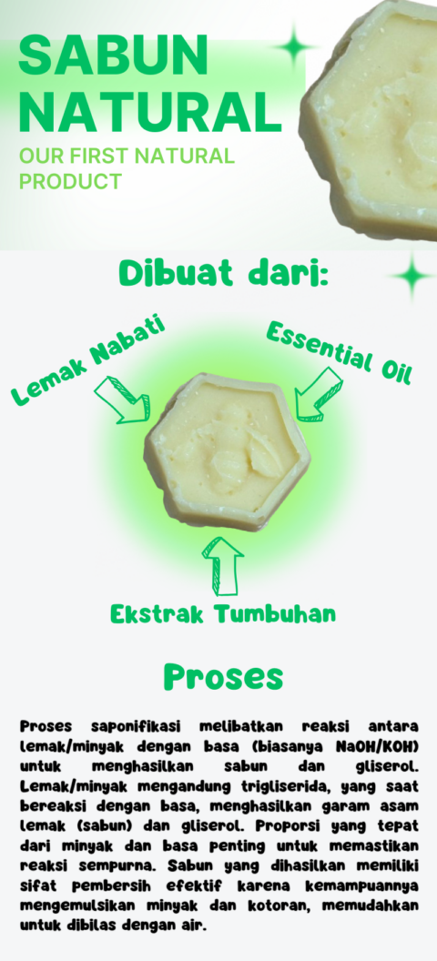 SABUN NATURAL: PRODUK PERTAMA DARI BIOTEKNOLOGI!! – Biotechnology
